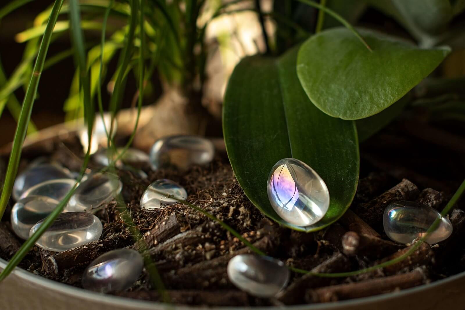 Angelo aura kalnų krištolas – Vaivorykštinio Pakylėjimo Šviesa ...